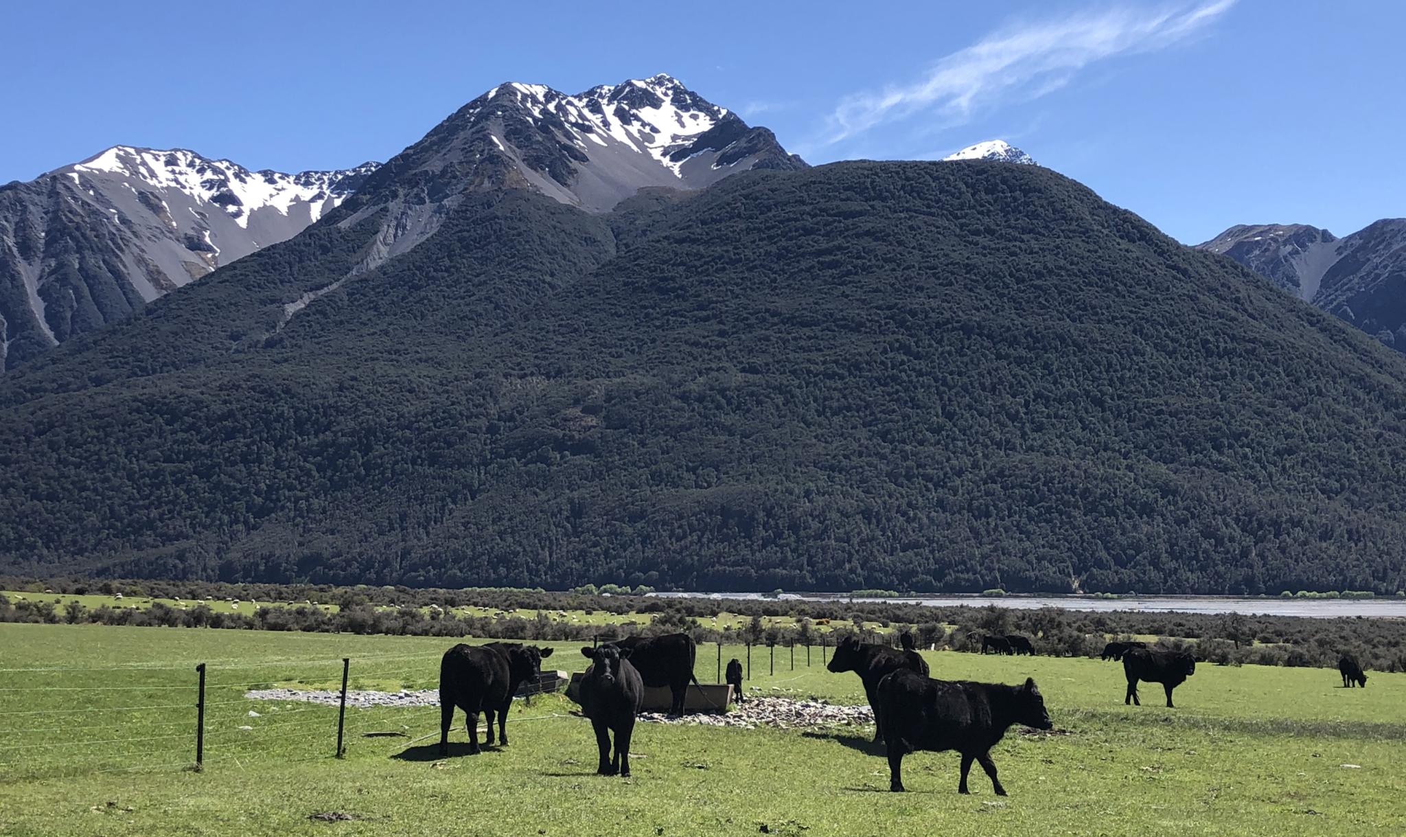 How Artificial Intelligence is Revolutionizing Food Processing | Food ...